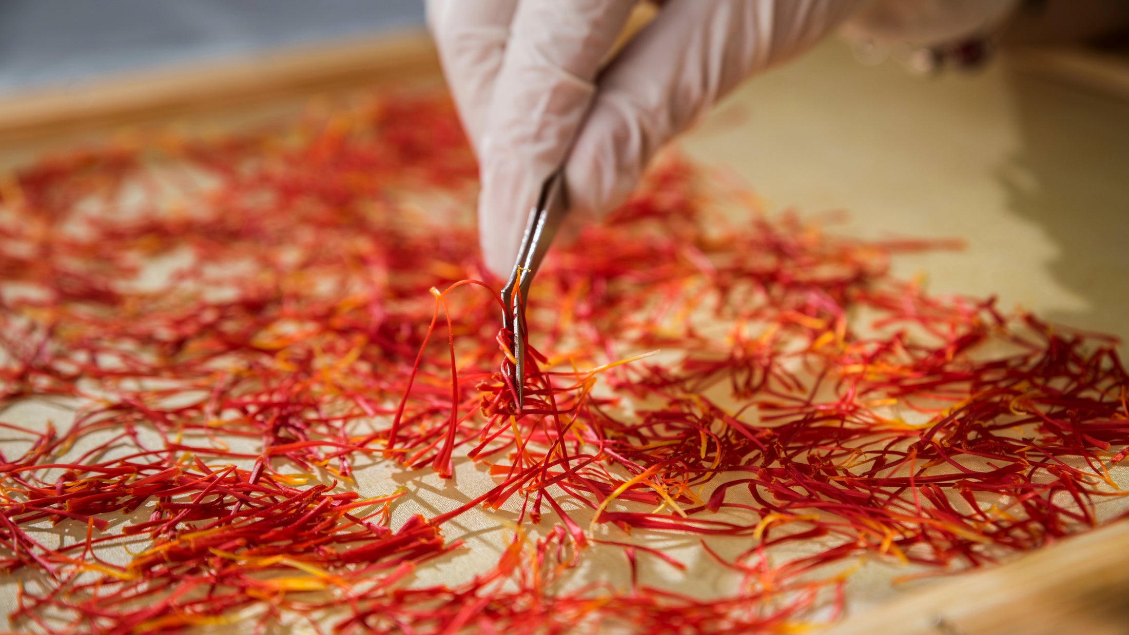 Buy Best Saffron Online in Dubai UAE, Canada & US – Dorreen™ Saffron